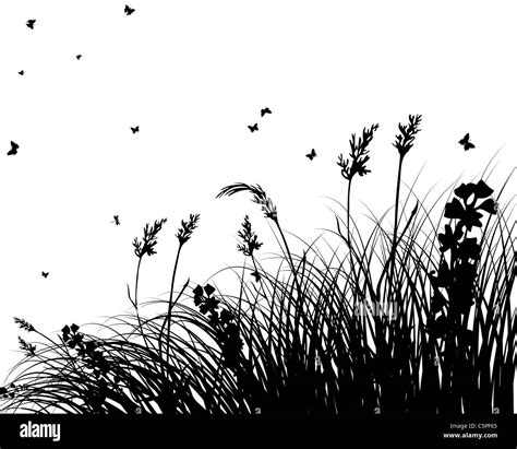Vector Grass Silhouettes Background All Objects Are Separated Stock