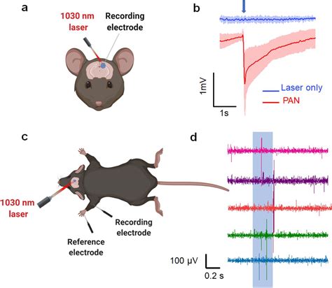 A Cognitive Process Occurring During Sleep Is Revealed By 50 Off