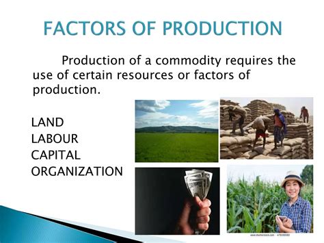 PRODUCTION PROCESS FACTORS OF PRODUCTION INPUT OUTPUT RELATIONSHIP PPT