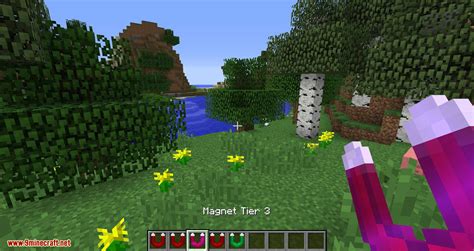 Better Magnets Mod 1122 1112 Adds Magnets That Can Enabledisable