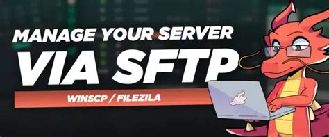 manage your server via sftp with winscp or filezilla