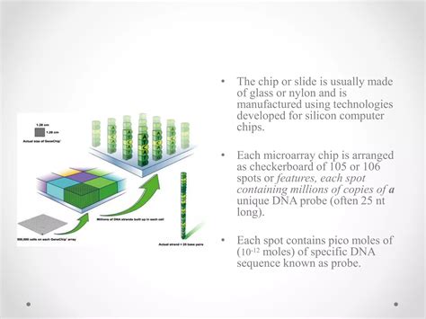Dna Microarray Introdution And Application Pptx