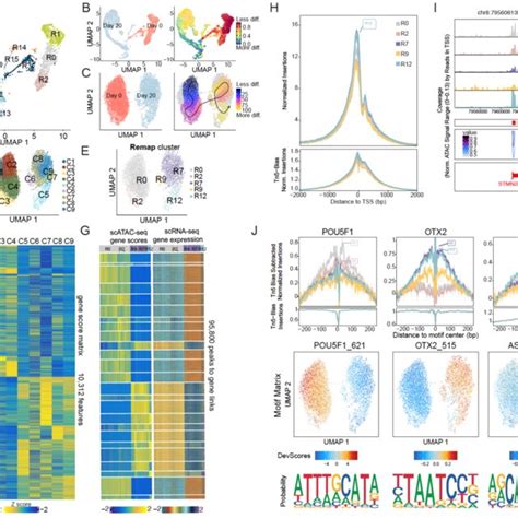 Integration Of Single Cell Chromatin Opening With Scrna Seq During Download Scientific Diagram