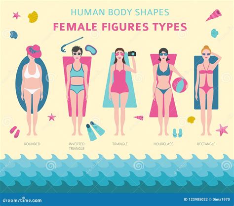 Human Body Shapes Female Figures Types Set Stock Vector Illustration