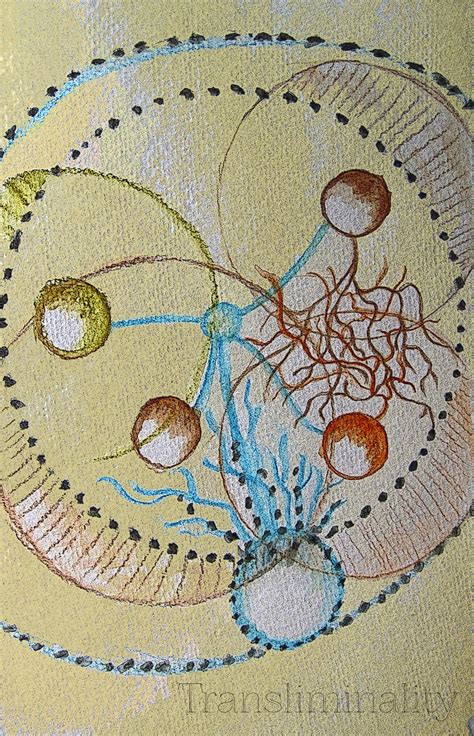 Feral Peasant Gallery Transliminality What It Is And Why It Is Important