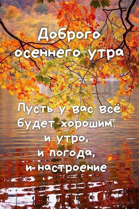 Утро 🍂Осень🍂 Good Morning Cards Good Morning  Good Morning