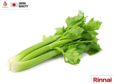 Manfaat Seledri Yang Belum Banyak Dikehaui Esposid