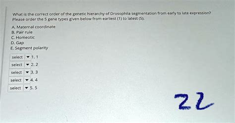 solved texts what is the correct order of the genetic hierarchy of