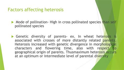 Hybrid Vigour Pptx