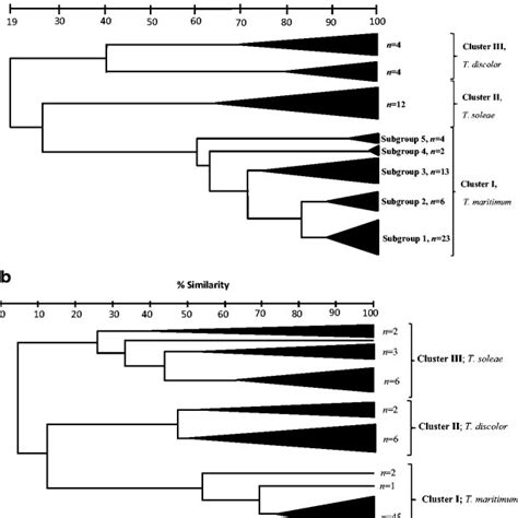 Dendrograms Generated Using The Dice Similarity Coefficient And UPGMA