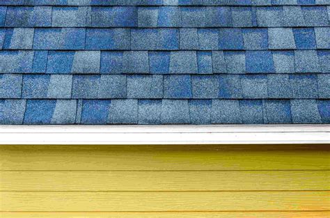 The Homeowners Guide To Shingle Roof Longevity