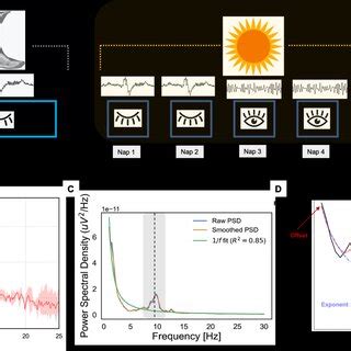 Schematic Of Multiple Sleep Latency Test And Resting State Derived EEG Download Scientific