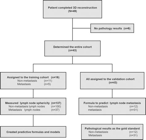 Flow Chart Of The Exploratory Study Download Scientific Diagram