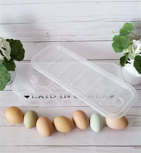 Reusable Egg Cartons With Funny Sayings Flip And Flutter Creations Llc