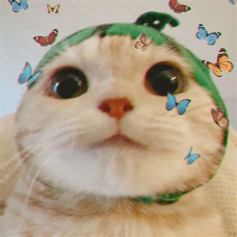 Ghim Của P Depp Trên Amemes