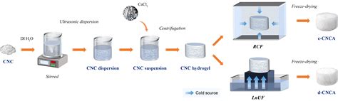 Effects Of Freeze Drying Processes On The Acoustic Absorption Performance Of Sustainable