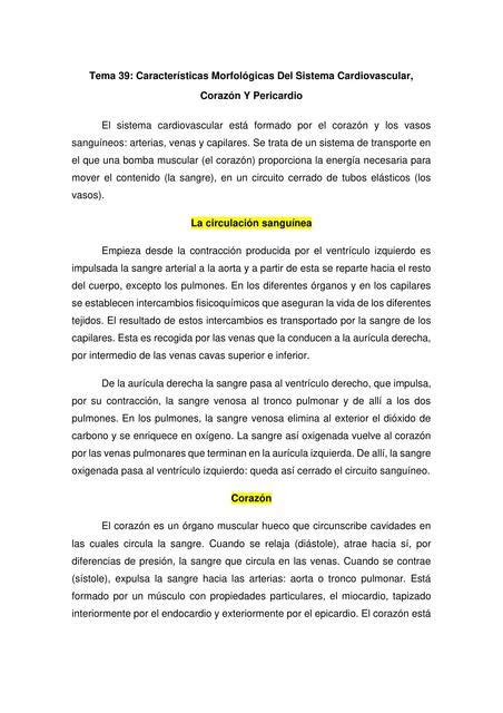 Sistema Cardiovascular Flowey UDocz
