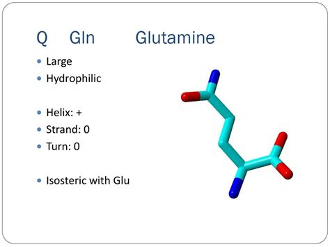 The 20 Amino Acids Ppt Download