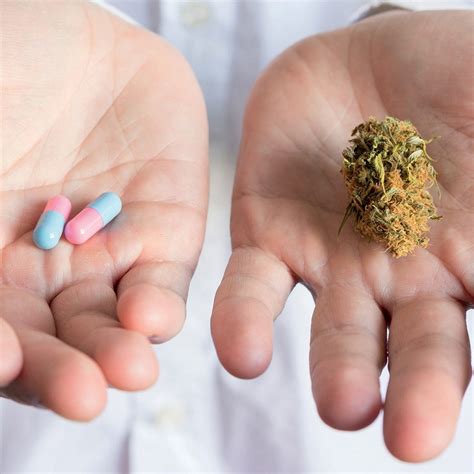 El Precio Es Otra Razón Para Preferir El Cannabis Sobre Los Opioides