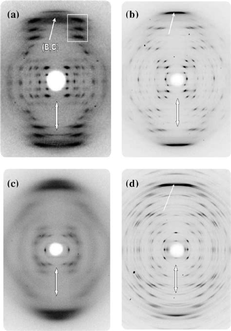 Fiber Diffraction Pattern Of The Dna Samples ͑ A ͒ A Download Scientific Diagram