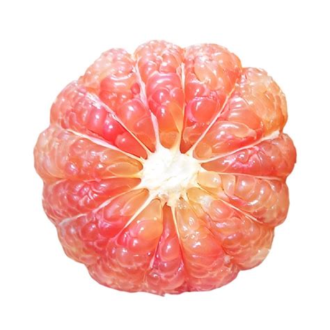 Jambura Pomelo Processed Online Grocery Shopping And Delivery In