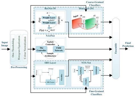 System Overview Combining Coarse Grained And Fine Grained Classifiers Download Scientific Diagram