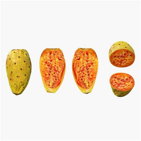 Prickly Pear 3d Models For Download Turbosquid