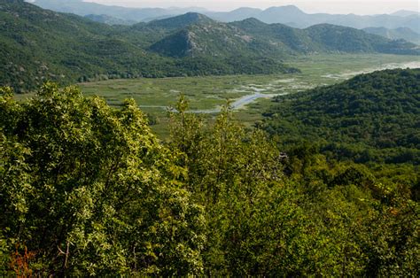 아름 다운 Skadar 호수 Fising 리조트 0명에 대한 스톡 사진 및 기타 이미지 0명 강 경관 Istock