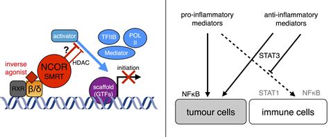 IMT Marburg Adhikary Lab