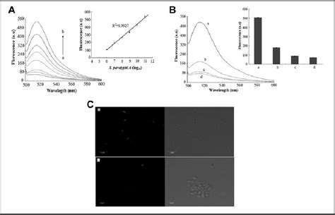 Figure 1 From High Specific Dnazyme Aptamer Sensor For Salmonella Paratyphi A Using Single