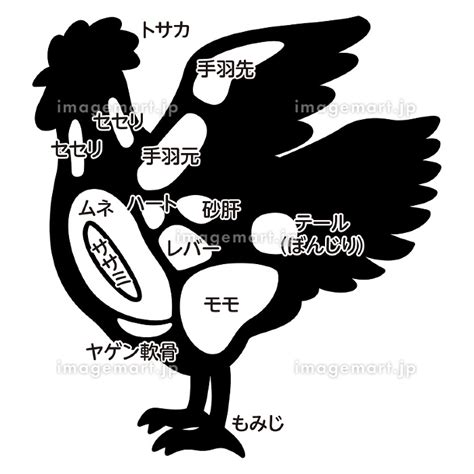 鶏肉の部位のイラスト 244691114 イメージマート