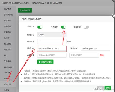 实现国内与境外使用不同的cdn服务 邮莓生活