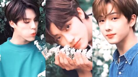 제노재민지성 믿고보는 얼굴 조합 🐶🐰🐹 Youtube