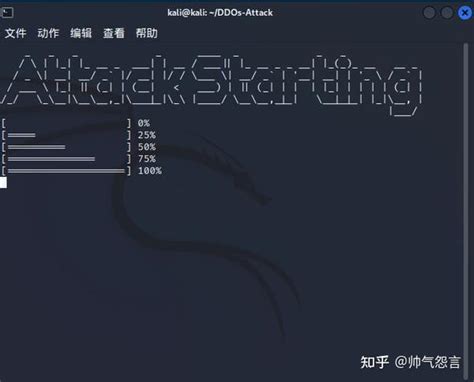 Kali Ddos