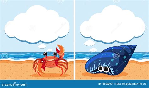Crab In The Shell Stock Image 89557009