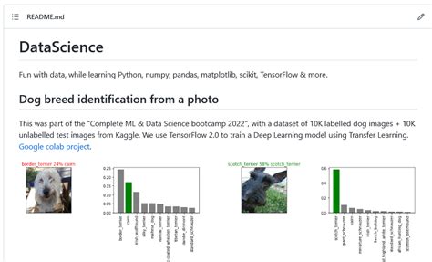 GitHub BenoitFries DataScience Fun With Data