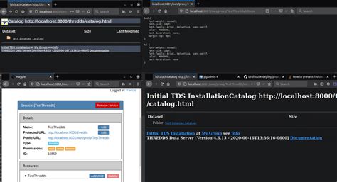 Store Custom Config Json In Db By Fmigneault Pull Request