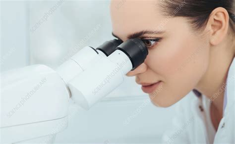 Scientist Using Microscope Stock Image F036 5899 Science Photo Library