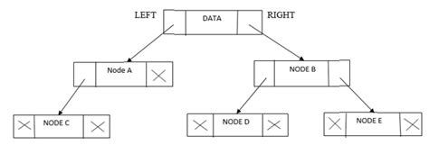 Binary Tree In Python What A Binary Tree Is With Examples