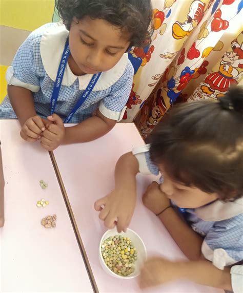 sorting matching grouping activity naval kg school mankhurd
