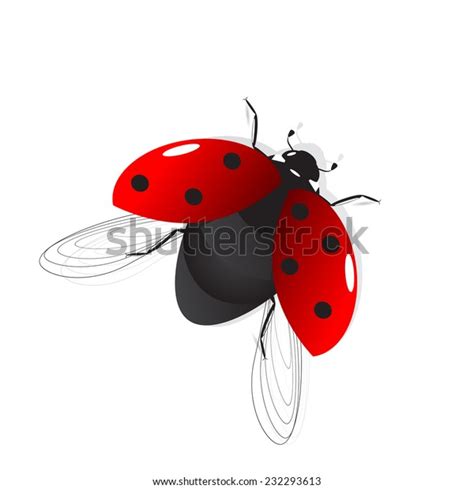 Insect Ladybird Open Wings Stock Vector Royalty Free 232293613 Shutterstock