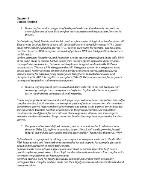 Guided Reading Chapter 3 Chapter 3 Guided Reading 1 Name The Four
