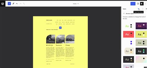 Style Book Inconsistent Preview Of Custom Html Widget Between Styles