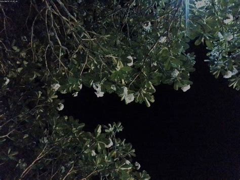 Here Are Some Of The Sample Shots Vetek Digital Camera