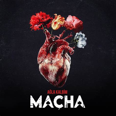 A La Kalbim Youtube Music