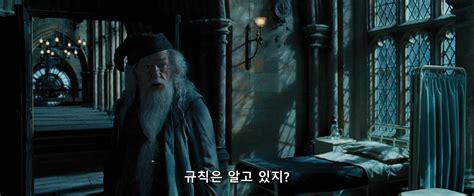 영화 해리포터와 아즈카반의 죄수가 해리포터 시리즈 중 인기가 많은 이유 인스티즈instiz 이슈 카테고리