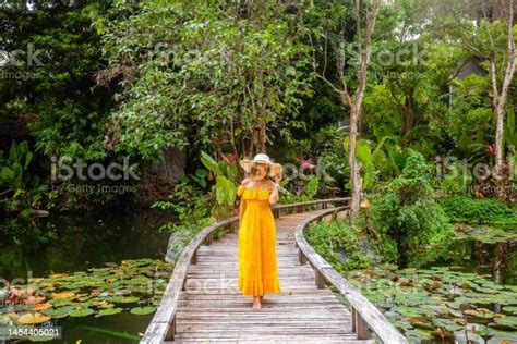 노란 드레스를 입은 행복한 여자는 리조트에서 여름 휴가를 즐긴다 푸켓에 대한 스톡 사진 및 기타 이미지 푸켓 휴가 걷기 Istock