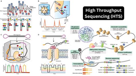 Dna Microarray Principle Types And Steps Involved In Cdna Microarrays