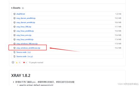 【漏扫工具xray】简介、下载、使用步骤、命令指南、导入安全证书 xray下载 csdn博客