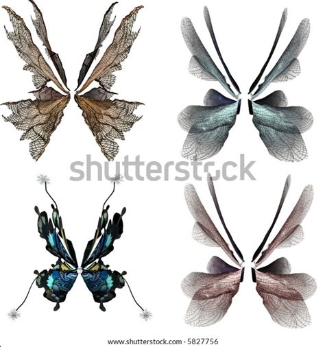 Winged Gnomes Over 1141 Royalty Free Licensable Stock Illustrations